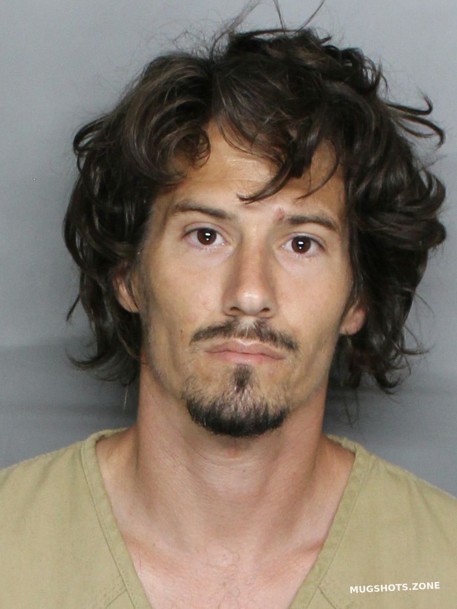 LORBER DAVID RICHARD 06/02/2025 - Charlotte County Mugshots Zone