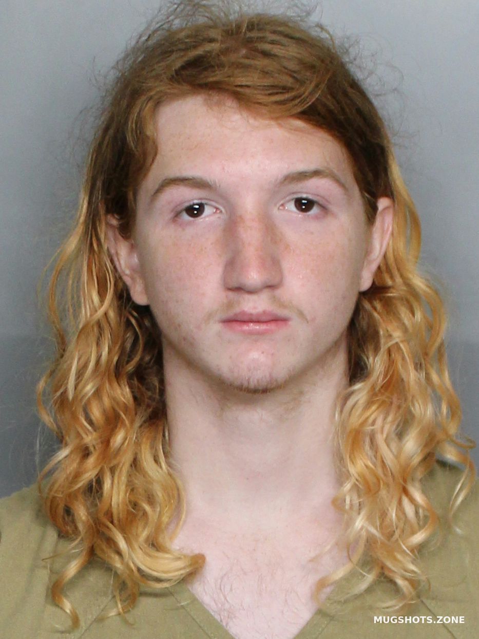 WELBOURNE AUSTIN CHASE 06/16/2025 - Charlotte County Mugshots Zone