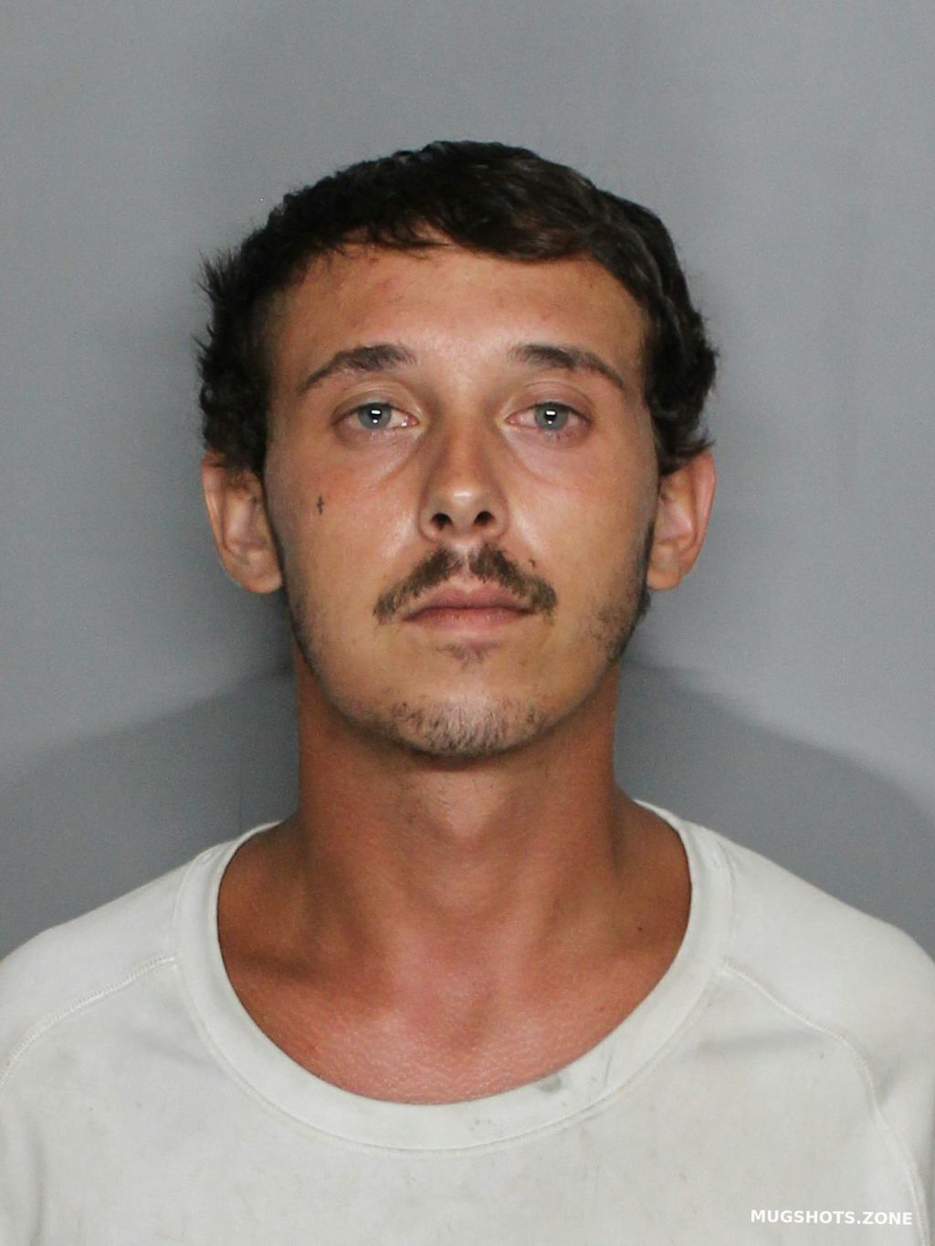 LABER LEVI ALLEN 06/29/2025 - Charlotte County Mugshots Zone