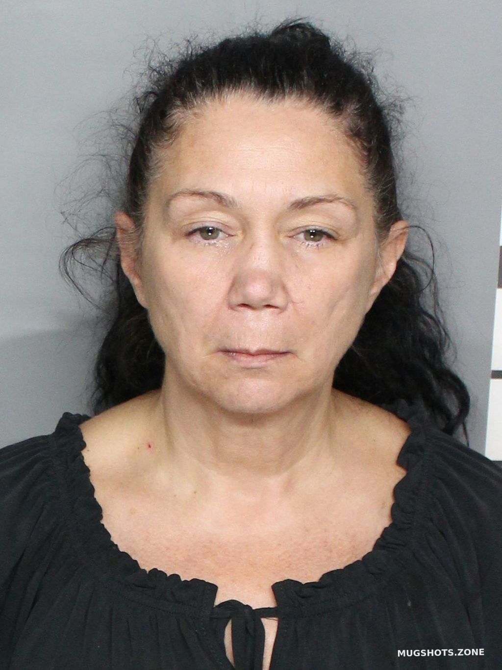 TOOZE MOORE JENNIFER REBECCA 07/02/2025 - Charlotte County Mugshots Zone