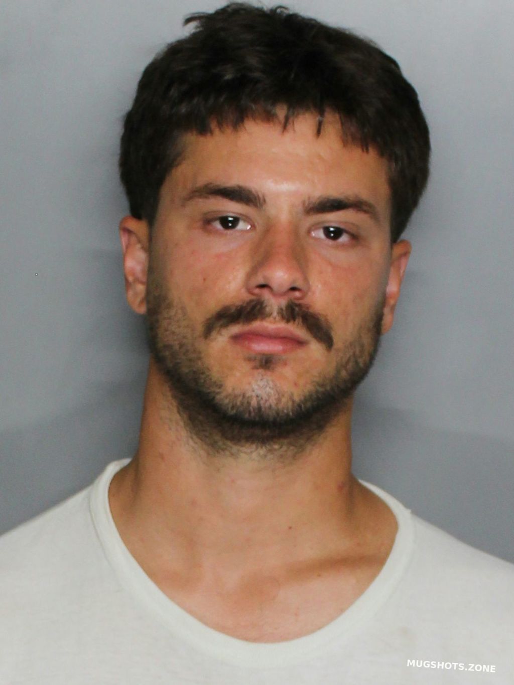 VEGA DYLAN WILLIAM 07/11/2025 - Charlotte County Mugshots Zone