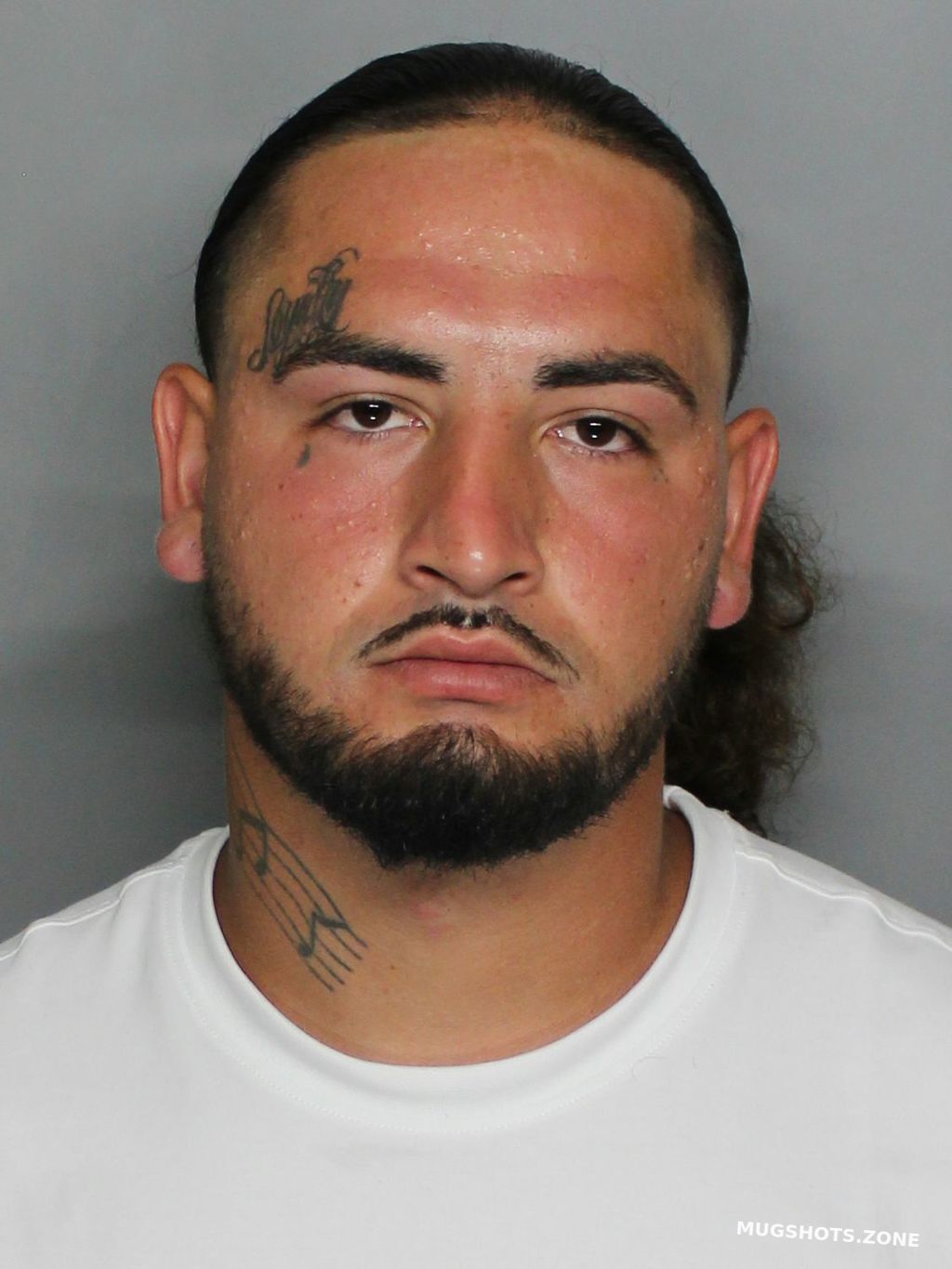 CAYLOR THOMAS RAY 07/11/2025 - Charlotte County Mugshots Zone