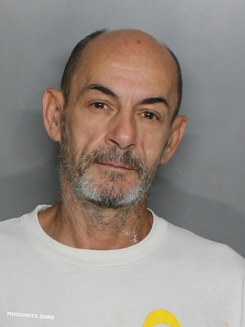 HEINLEIN GERALD DAVID 07/18/2025 - Charlotte County Mugshots Zone