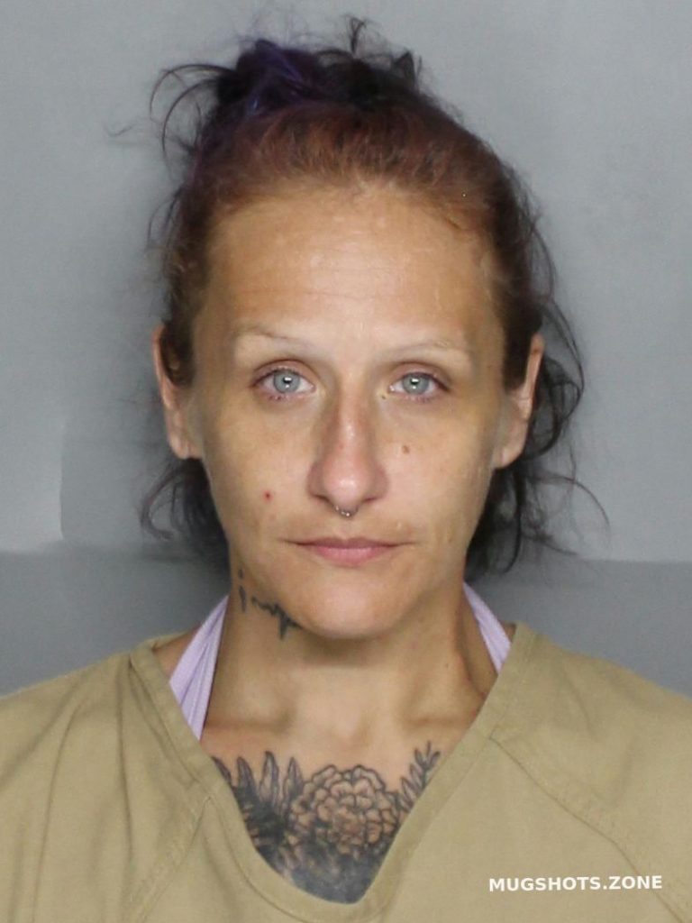 CARLINI AMBER LOUISE 07/31/2025 - Charlotte County Mugshots Zone