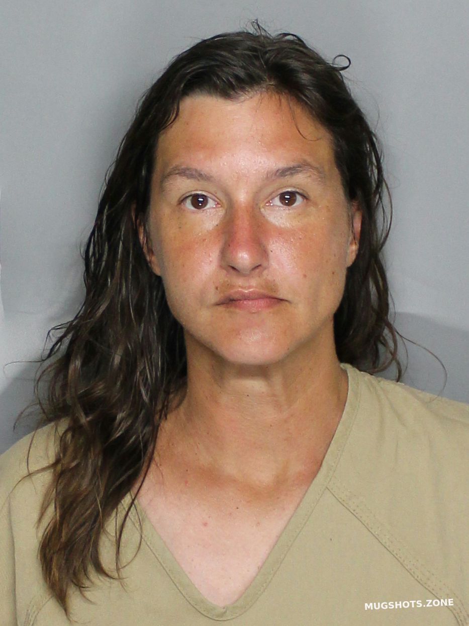 DISHNEAU LINETTE ANNE 09/06/2025 - Charlotte County Mugshots Zone