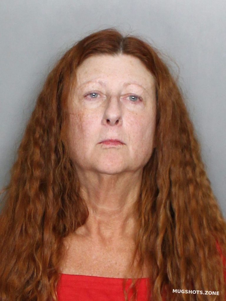GILLAM AMY MARIE 02/17/2026 - Charlotte County Mugshots Zone