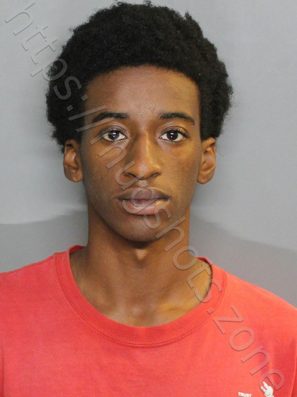 ROBERTS CHRISTIAN BERTIN BALAN 04/08/2026 - Charlotte County Mugshots Zone