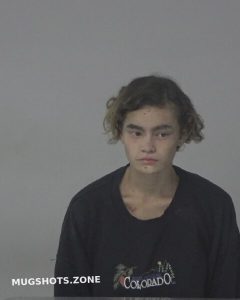 SUMROW SHERYL MARIE 09/01/2023 - Chaves County Mugshots Zone