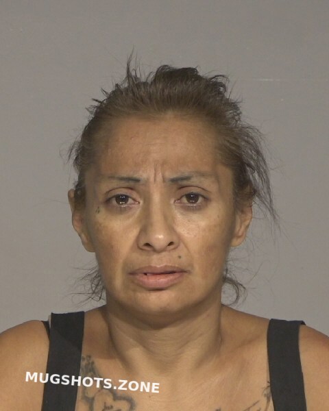 Leyba Sylvia 09 25 2023 Chaves County Mugshots Zone