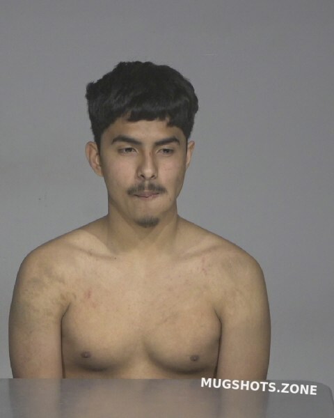 PALMA ELIJAH NOEL 02/20/2024 - Chaves County Mugshots Zone