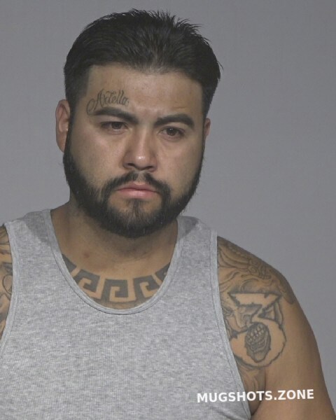 LEYBA JESSE ANTHONY 08/18/2024 - Chaves County Mugshots Zone