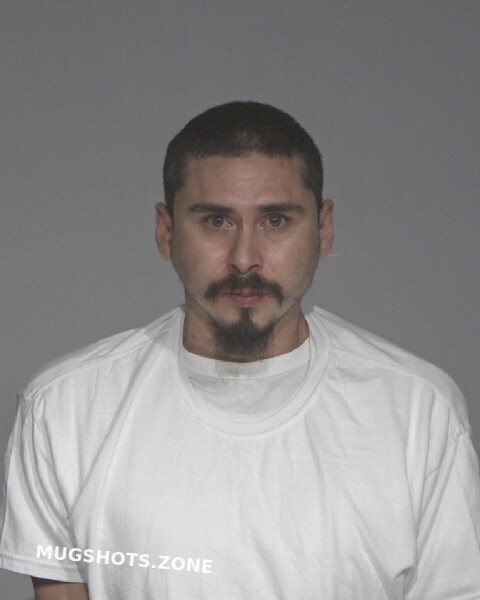 GRAMM MICHAEL LEE 10/10/2024 - Chaves County Mugshots Zone