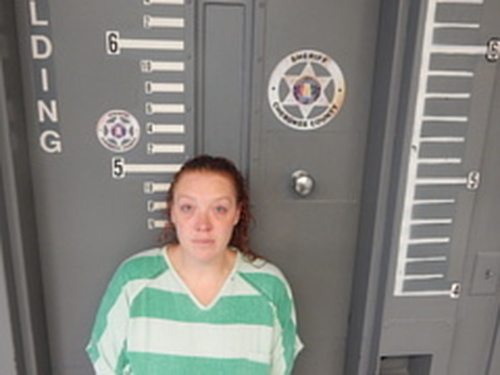 LISA MICHELLE RIDGLEY 02/20/2021 - Cherokee County Mugshots Zone