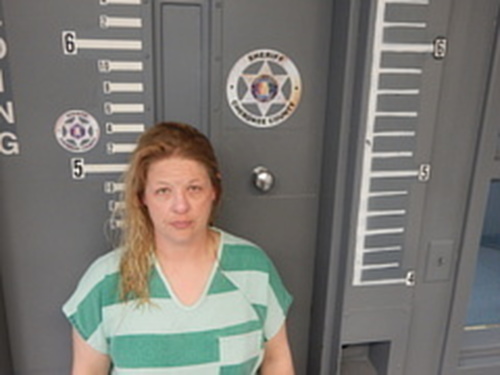 SHANNON RENEE HANEY 02/24/2021 - Cherokee County Mugshots Zone