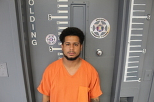 VICTOR BERNARD LYLES 04/19/2021 - Cherokee County Mugshots Zone