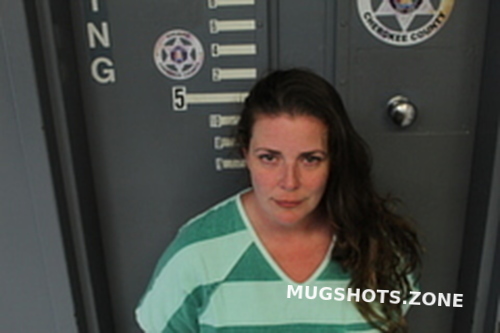 SANDRA FAITH BRINKERHOFF 06/20/2021 - Cherokee County Mugshots Zone