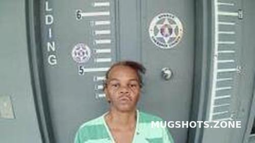 PATRICIA CHAMBERS 09/17/2022 - Cherokee County Mugshots Zone