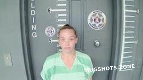 JESSICA CHAMBERS 10/26/2022 - Cherokee County Mugshots Zone