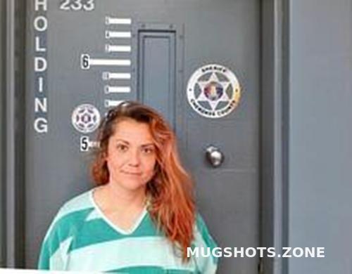 HEATHER MCCOOL 01/17/2023 - Cherokee County Mugshots Zone