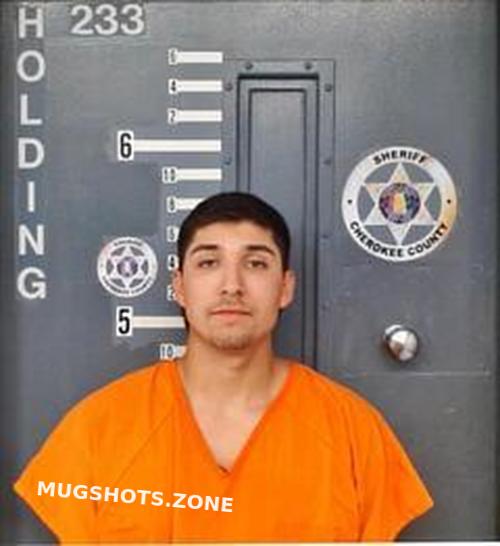 LUIS REYES 10/29/2023 - Cherokee County Mugshots Zone