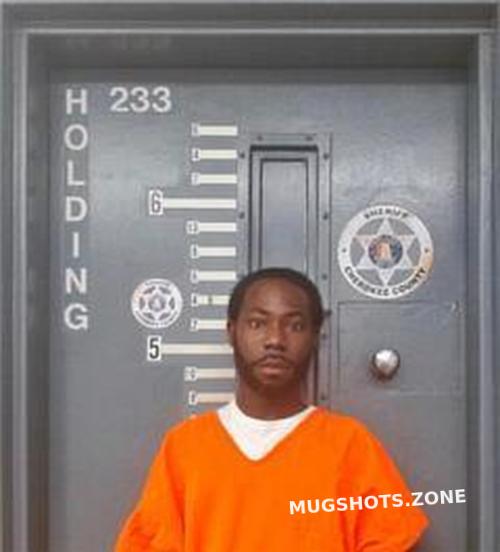 ANTONIO LEWIS 10/08/2024 - Cherokee County Mugshots Zone