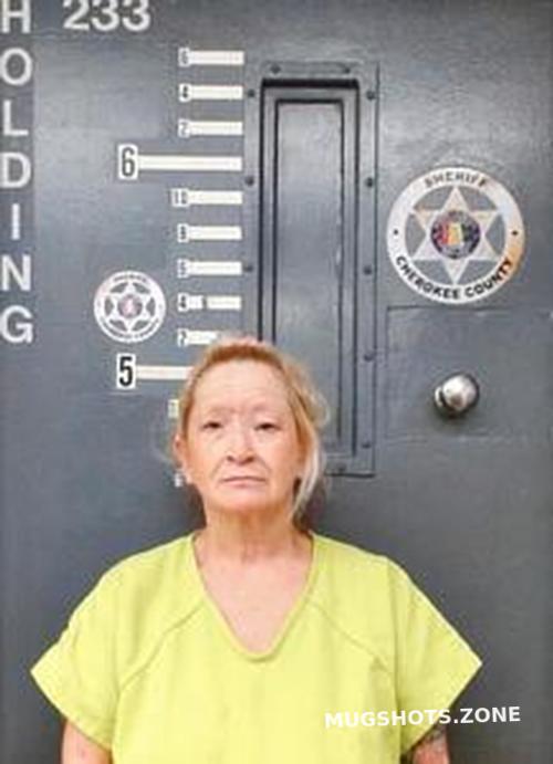 STEPHANIE WARREN 11/03/2024 - Cherokee County Mugshots Zone