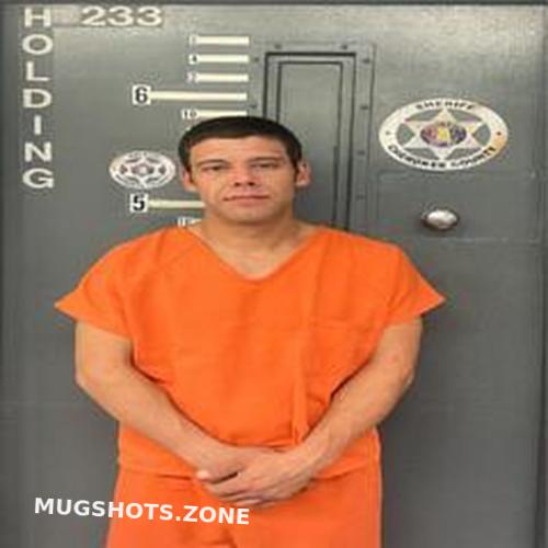 AARON WILLIAMS 11/11/2024 - Cherokee County Mugshots Zone