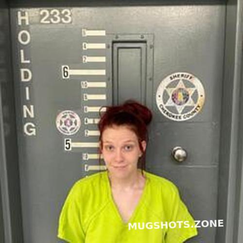 ALEXIS DOLLAR 11/18/2024 - Cherokee County Mugshots Zone