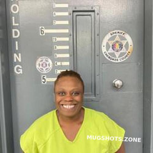 KYLIN WILLIAMS 11/27/2024 - Cherokee County Mugshots Zone