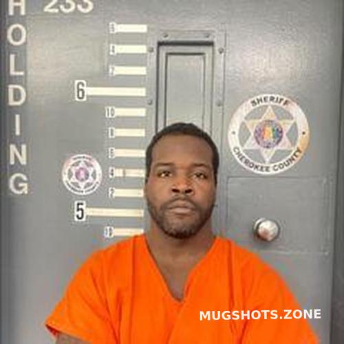 TERRY HUGGINS 02/10/2025 - Cherokee County Mugshots Zone