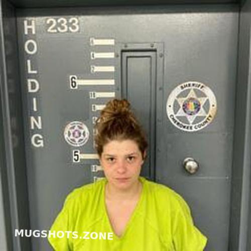 WHITNEY WHITE 02/18/2025 - Cherokee County Mugshots Zone