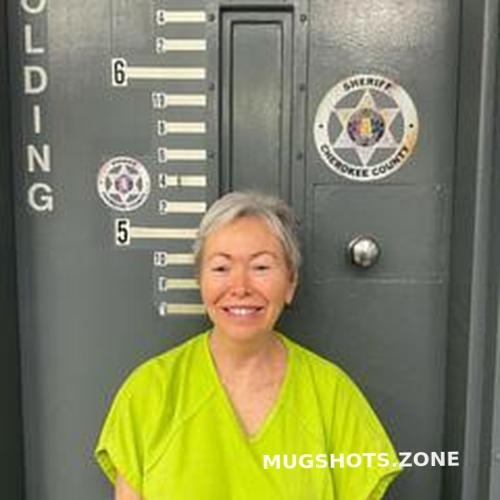 ALISA MULLINAX 03/31/2025 - Cherokee County Mugshots Zone