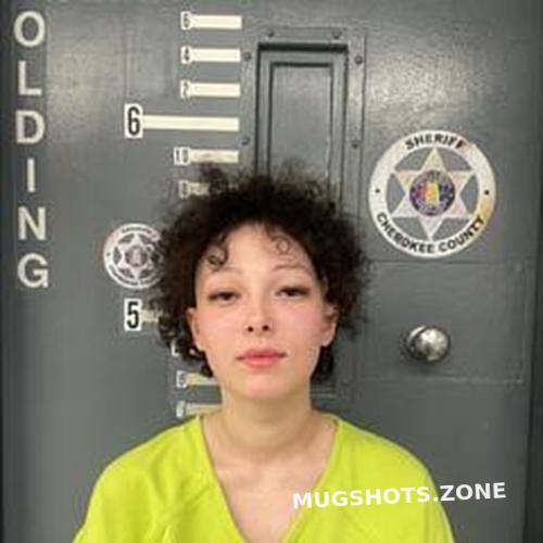 MADISON PRUITT 04/15/2025 - Cherokee County Mugshots Zone