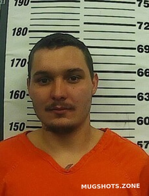 RHETT JAMES GRIGGS 05/26/2021 - Cherokee County Mugshots Zone