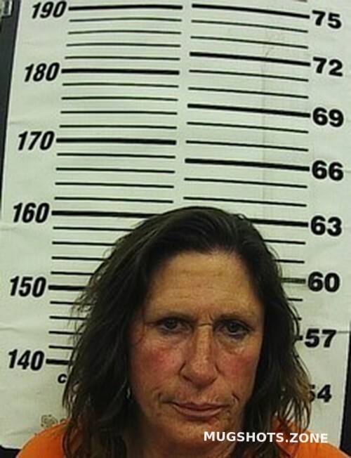 ALYSSA SUE SHEEHAN 12/31/2021 - Cherokee County Mugshots Zone