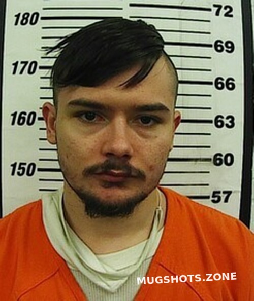 STEVEN NICHOLAS MOOMEY 01/20/2022 - Cherokee County Mugshots Zone