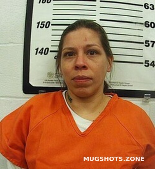 CRYSTAL MARIE PETERS 02/18/2022 - Cherokee County Mugshots Zone