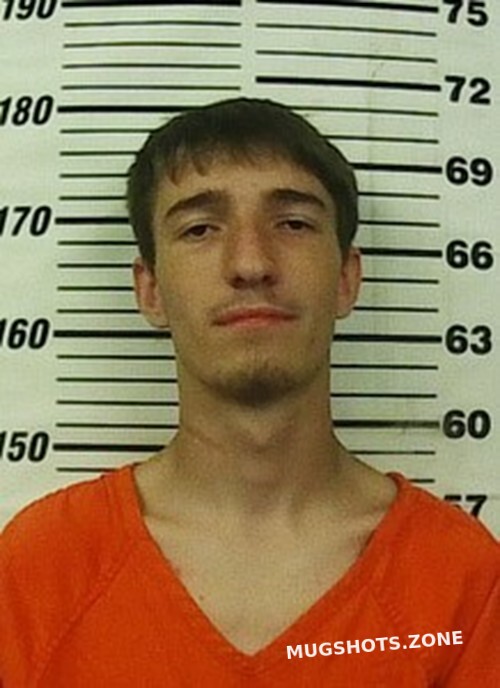 NICHOLAS SANDRIDGE DAVIS 07/13/2022 - Cherokee County Mugshots Zone