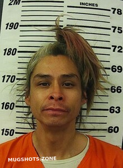 ROBERT STEVEN PFEIFFER 01/19/2023 - Cherokee County Mugshots Zone