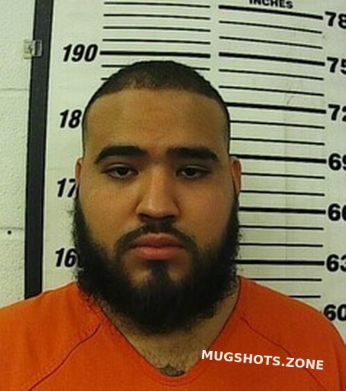 Michael Tejeda 01 26 2023 Cherokee County Mugshots Zone