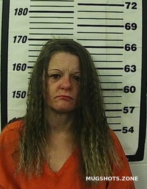 CONNIE JEAN HENDRIX 02/06/2023 - Cherokee County Mugshots Zone