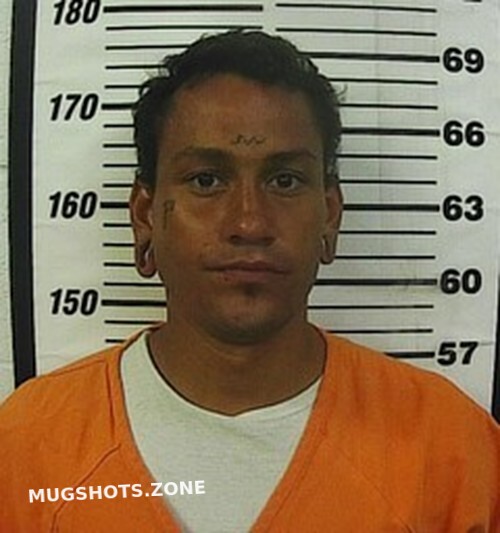 JUSTIN CRAIG CLEMONS 08/31/2023 - Cherokee County Mugshots Zone