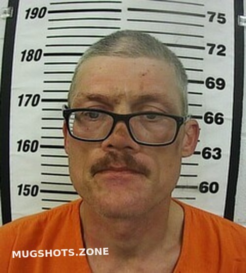 SYLVESTER VICTOR FERGUSON 11/17/2023 - Cherokee County Mugshots Zone