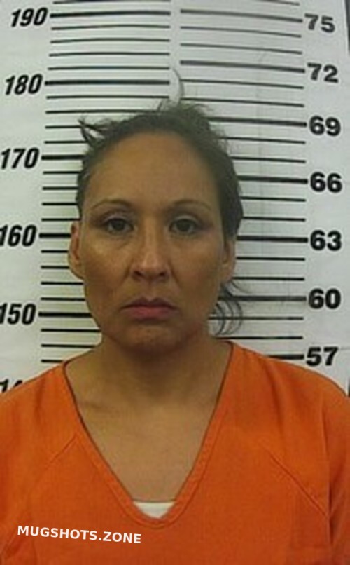 JULIA ANNE REECE 11/23/2023 - Cherokee County Mugshots Zone