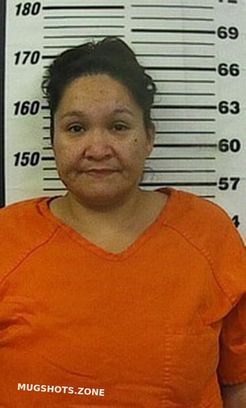 CRYSTAL ELIZABETH HARRIS 11/28/2023 - Cherokee County Mugshots Zone