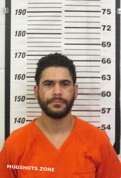 DEVIN NMI QUINONES 07/11/2024 - Cherokee County Mugshots Zone