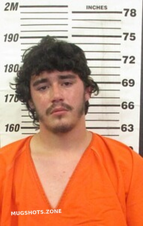 DUSTIN CONNER MAUNEY 08/01/2024 - Cherokee County Mugshots Zone