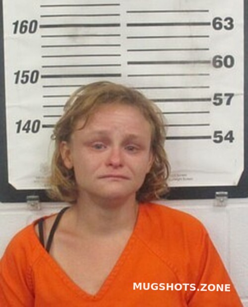 SHANNON MARIE SNYDER 10/30/2024 - Cherokee County Mugshots Zone