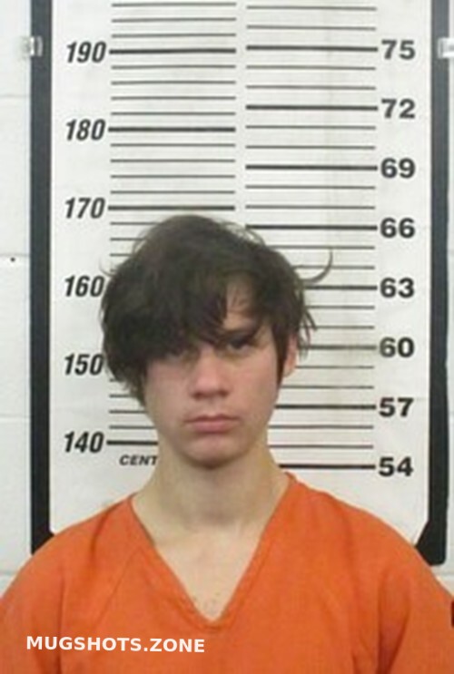 BRYCE ALBERT PIERCE 01/13/2025 - Cherokee County Mugshots Zone