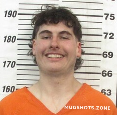 ADLIE JACE WILLIAMS 02/08/2025 - Cherokee County Mugshots Zone